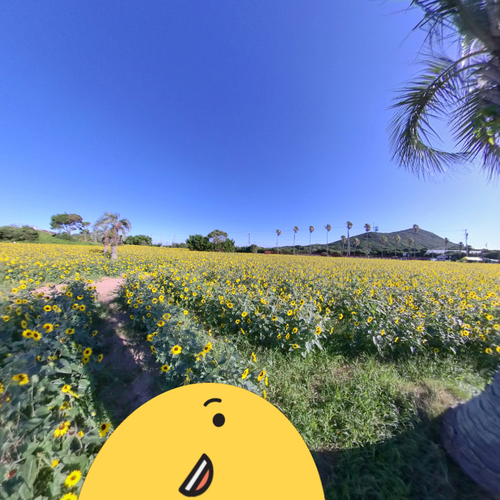 Tap to explore this 360 perspective. - Insta360